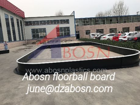 Floorball Rink training for Floorball Championships Wall Supplier China
